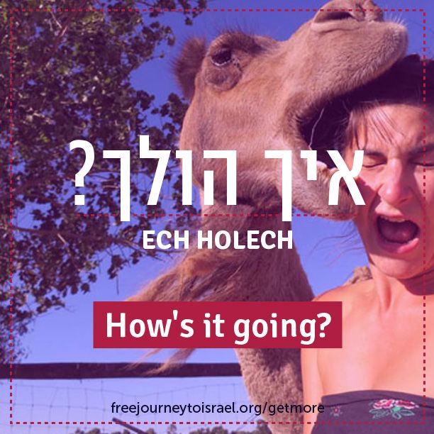 How To Survive Your Year in Israel | Beauty of Israel | TalknSave